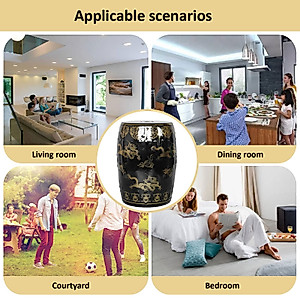 KIROJA Decorative Ceramic Garden Stool, Glazed with Gold-Plated Double Dragon Pearl Shoe Changing Stool Drum Stool, Suitable for Outdoor Garden, Living Room, Balcony, Etc.