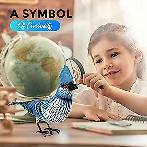 Shefio Garden Decor - Blue Jay Bird Decor, Beautiful Backyard Ideas & Garden Gifts - These Handmade Metal Birds are Perfect Outdoor Decor, Metal Yard Art for Lawn Ornament, Yard Decorations Outdoor