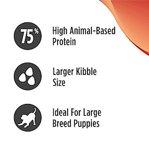 Nulo Freestyle Dry Puppy Food, Premium Grain-Free Larger Kibble to Support Proper Chewing, High Animal-Based Protein and Balanced Levels of Calcium & Phosphorus for Healthy Bone Development