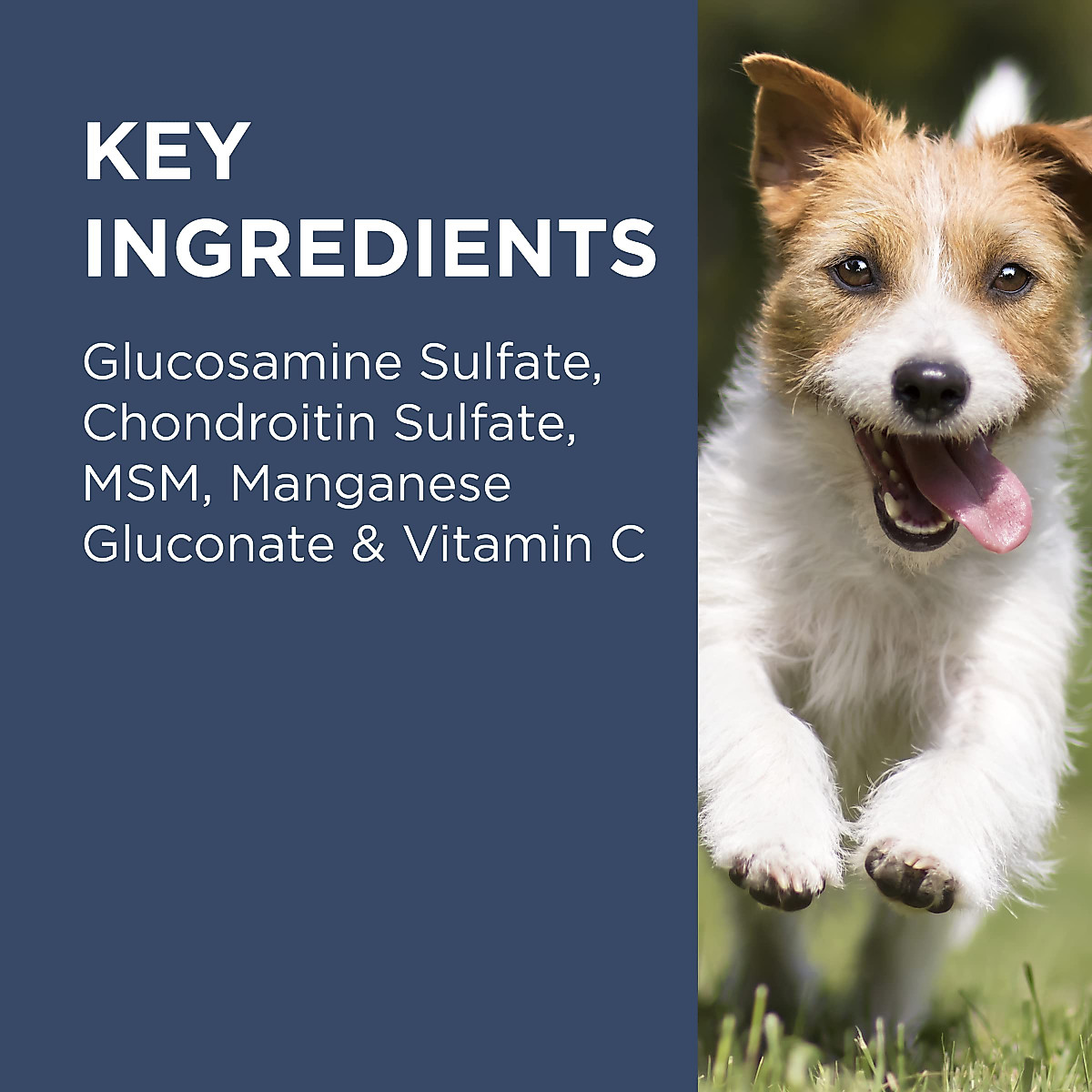 PAW Osteocare Joint Health Chews 500