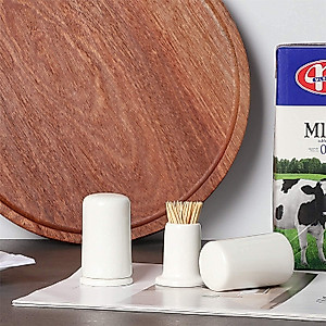 ONTUBE Ceramic Toothpick Holder with Lid,Toothpick Dispenser for Home, Easy To Clean-Set of 2, White