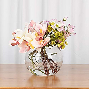 WGV Bowl Glass Vase, Diameter 8", Height 6", Open Width 5", (Multiple Sizes Choices) Clear Bubble Planter Terrarium Fish Bowl for Wedding Event Home Decor, 1 Piece (VBW0008A)