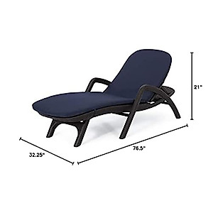 Christopher Knight Home Chaise Lounge Set, Dark Brown + Navy Blue