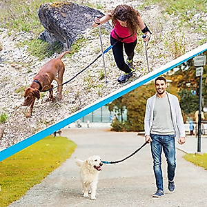SparklyPets Hands Free Dog Leash for Medium and Large Dogs – Professional Harness with Reflective Stitches for Training, Walking, Jogging and Running Your Pet (Blue, for 1 Dog)