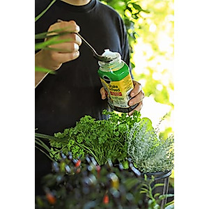 453g Shake n Feed All Purpose Plant Fertilizer