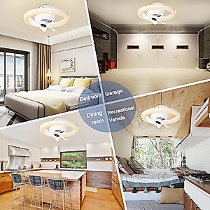 alescu Ceiling Fans with Lights E26 Base, 10" Ceiling Fan with Memory Function,Fan with Shake Head Function for Bedroom, Living Room, Kitchen, Balcony