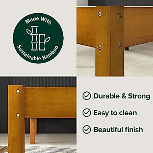 Zinus Ellie 14 Inch Bamboo Platform Bed Frame, Wood Slat Support, No Box Spring Needed, Easy Assembly, Queen