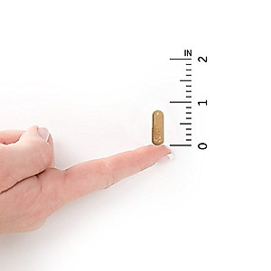 Garden of Life Vitamin Code Raw Prenatal Multivitamin, Whole Food Prenatal Vitamins with Iron, Folate not Folic Acid, Best Vegetarian Gluten Free Prenatals for Women, 30 Capsules