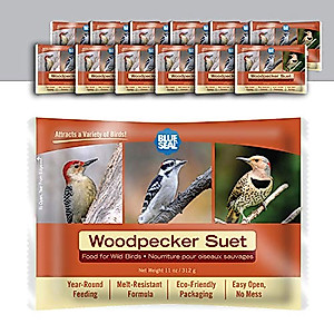 Blue Seal Woodpecker Bird Suet Cake | No Mess Wild Bird Suet | 11oz (12 Pack)