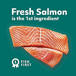 OPtimeal Dry Dog Food for Toy Breeds - Proudly Ukrainian - Tasty Dog Food Dry Recipe with Skin and Digestive Support for Adult Small and Toy Breed Dog