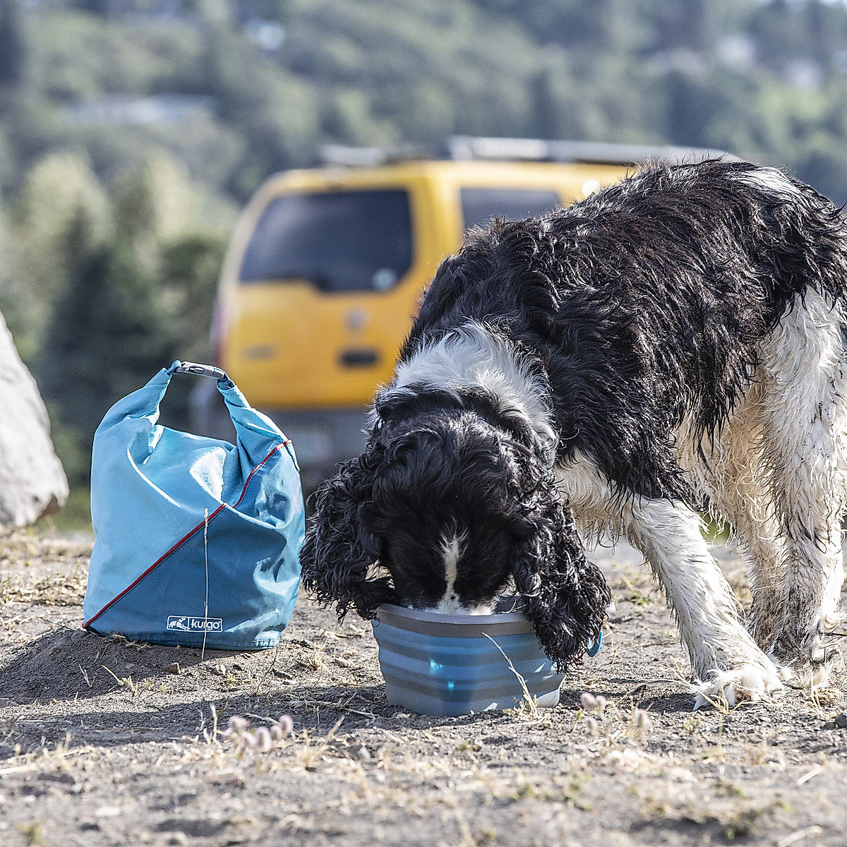 Kurgo Kibble Carrier for Dogs, Dog Food Travel Bag, Pet Travel Food Storage Container, Dog Accessories for Camping, BPA Free, Foldable, Holds 5 Pounds, Coastal Blue