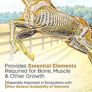 UMAID Compressed Pink Himalayan Salt Lick, [2 Pack] – 5.5 Lb. 100% Natural Himalayan Salt Block with Hanging Rope Helps Replace Lost Electrolytes for Deer, Horse, Cow, Goat, Pigs, Wild Animals & Pets