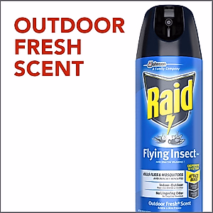 Raid Flying Insect Killer,15 Ounce (Pack of 4)