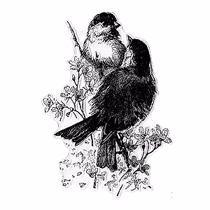 2 Love Birds on Flowers Words Clear Stamps for Card Making Scrapbooking Crafting DIY Decorations, Birds and Flowers Transparent Silicone Seal Stamps for Embossing Album Crafts