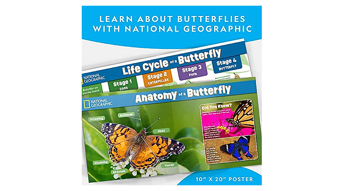 NATIONAL GEOGRAPHIC Butterfly Growing Kit - Watch Butterflies Grow