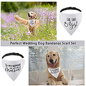 RISF Engagement Dog Bandana,My Humans are Getting Married She Said Yes Dog Bandana Collar,Strong D-Ring Engagement Dog Bandana,Adjustable Dog Collar with Quick Release Buckle for Dogs Cats (L, White)