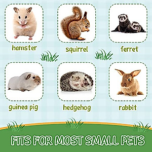 Nuogo 4 Pcs Pet Cage Hammock Small Animal Hanging Hammock Ferret Cage Accessories Double Layer Ferret Bed for Rat Guinea Pig Squirrel Chinchilla Playing and Sleeping, Green Blue Gray Yellow