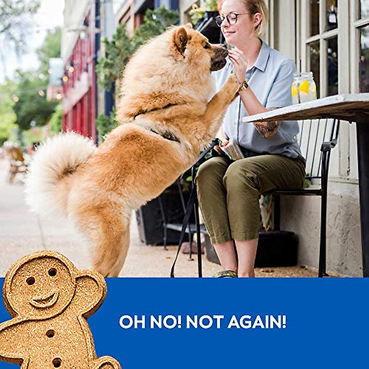 Buddy Biscuits Soft & Chewy Healthy Dog Treats with Bacon & Cheese - 20 oz.