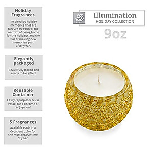 BB Candles Illumination Pink Champagne Scented Hand Poured Candle, Fragrant Pink Champagne Natural Soy Candle, Artisan Candle, 9oz, 60+ Hours Burn Time (Pink Champagne, Rose Jar)