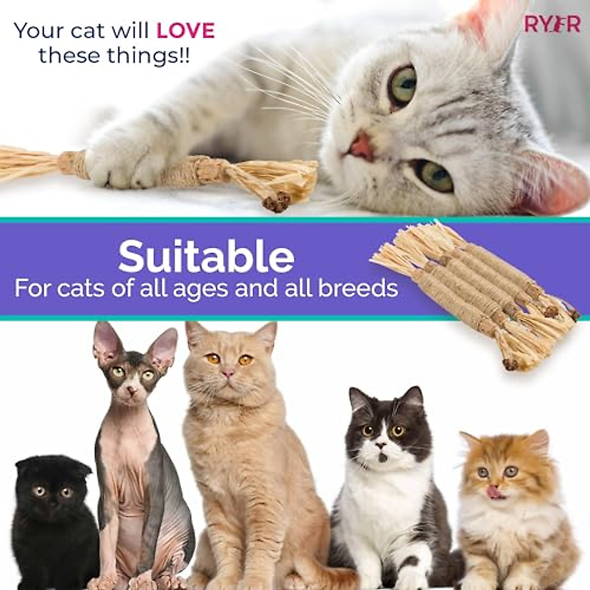 RYERCAT Silvervine Sticks for Cats - All-Natural Cat Chew Toy for Aggressive Chewers, Kitten Teething, and Dental Health - Silvervine Cat Toy for Hours of Fun and Relaxation (5 Pack)