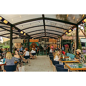 Dr. Infrared Heater 10,260 BTU Infrared Heater, Indoor and Outdoor Heater for Patio, Garage, Commercial & Residential, 3000W, 220-240V with Remote, Black