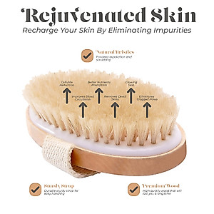 Dry Skin Body Brush - Improves Skin's Health and Beauty - Natural Bristle - Remove Dead Skin and Toxins, Cellulite Treatment, Improves Lymphatic Functions, Exfoliates, Stimulates Blood Circulation