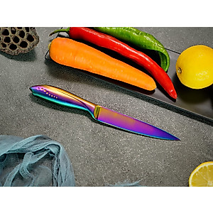 WELLSTAR Rainbow Kitchen Utility Knife 5 Inch, Super Sharp Fine Edge Fruit Vegetable Slicing Knife with German Stainless Steel Forged Blade and Titanium Coating – Small Multipurpose Knife
