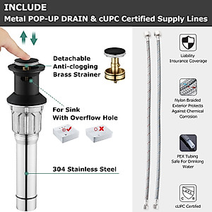 PARLOS 2-Handle Bathroom Sink Faucet High Arc Swivel Spout with Metal Drain Assembly and Faucet Supply Lines, Matte Black, Demeter 14134