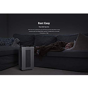 Winix 5300-2 Air Purifier with True HEPA, PlasmaWave and Odor Reducing Carbon Filter,Gray Medium