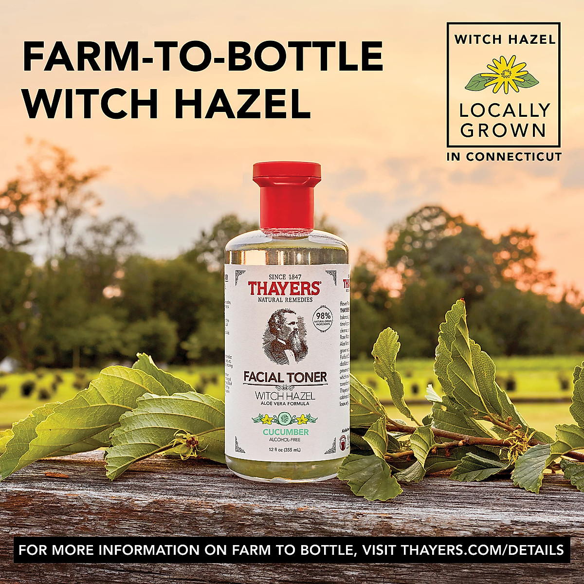 THAYERS Alcohol-Free Cucumber Witch Hazel Toner with Aloe Vera Pack of 3