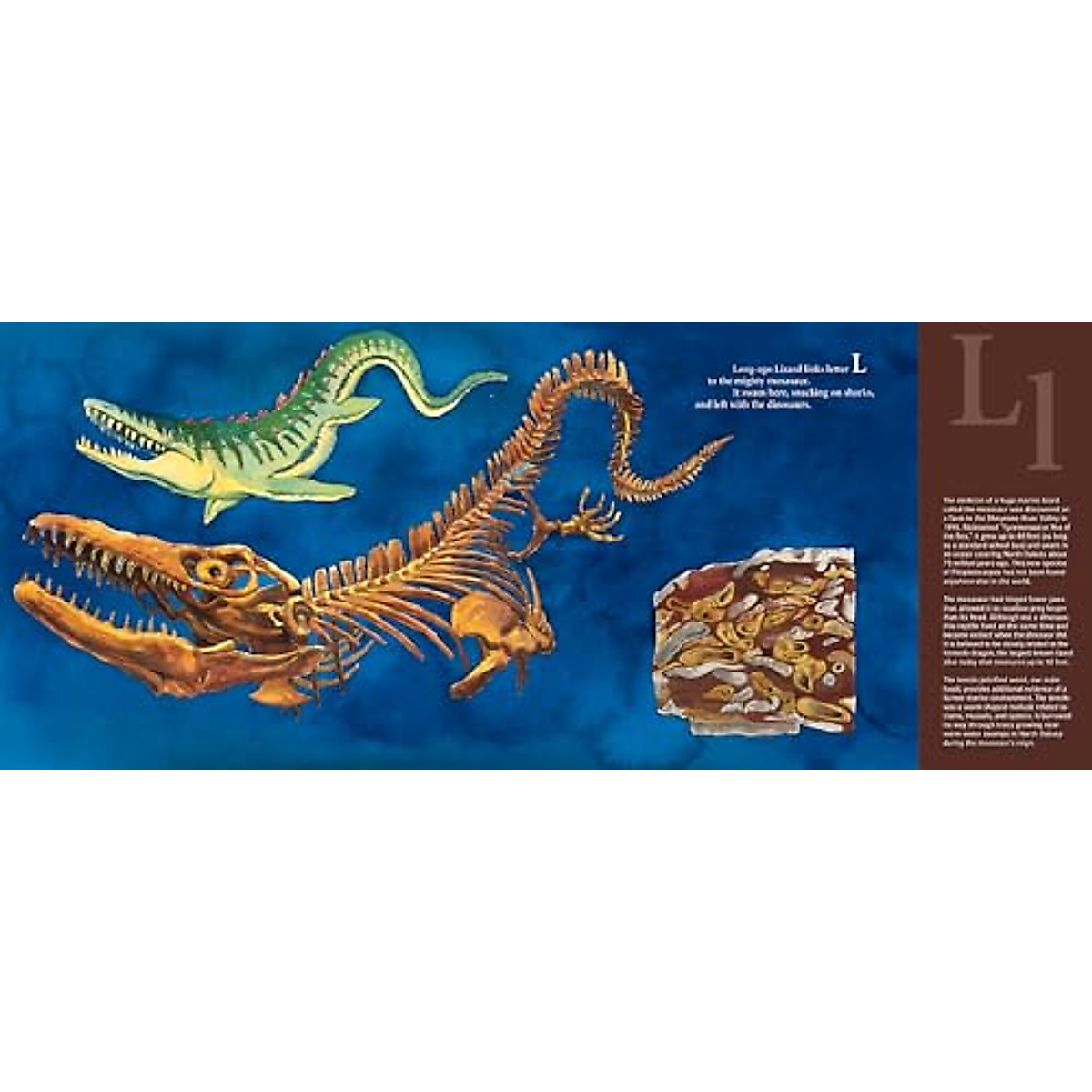 P is for Peace Garden: A North Dakota Alphabet (Discover America State by State)