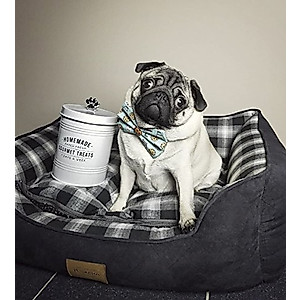 Amici Pet Gourmet Metal Food Canister, 72oz