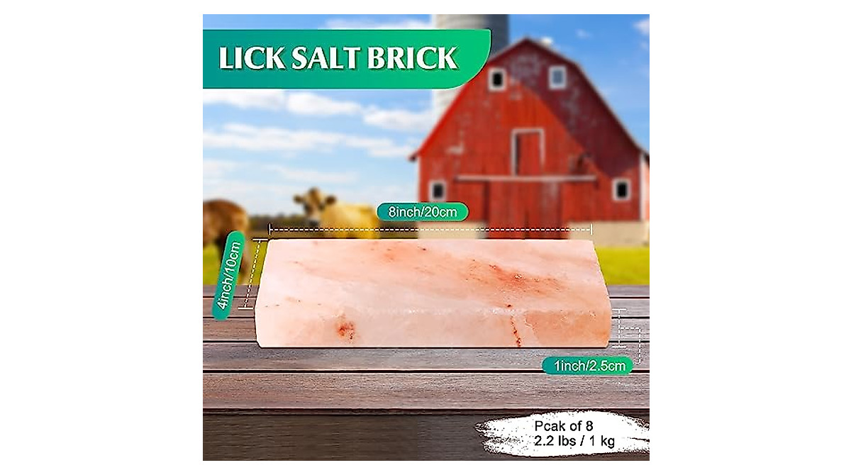 Fabbay 8 Pcs Himalayan Animal Lick Salt Blocks