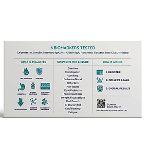 Innovative Pet Lab Comprehensive Review- at-Home-Test Kit for Dog Digestive Health & Allergy Causes- Gut Microbiome Symptoms Evaluation & Expert Panel Insights