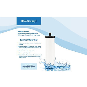 British Berkefeld Doulton 8674 Ultra Sterasyl Ceramic Filter Candle for Countertop Gravity Water Filter System Short Mount 7" - 4 Pack