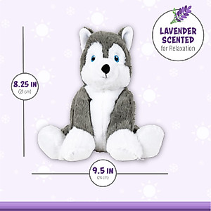 Warm Pals - Hayes Husky - 1.5lbs - Cozy Microwavable Lavender Scented Plush Toys - Heated Stuffed Animal - Heatable Coolable Bedtime Comfort Plushie