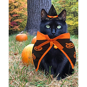 Halloween Cat Costume Cloak Witch Hat Pet Accessories Halloween Adjustable Pumpkin Pet Costume Clothes Set, Halloween Pet Costume Decor Cloak for Cats Dogs Animal Halloween Carnival Party Supplies