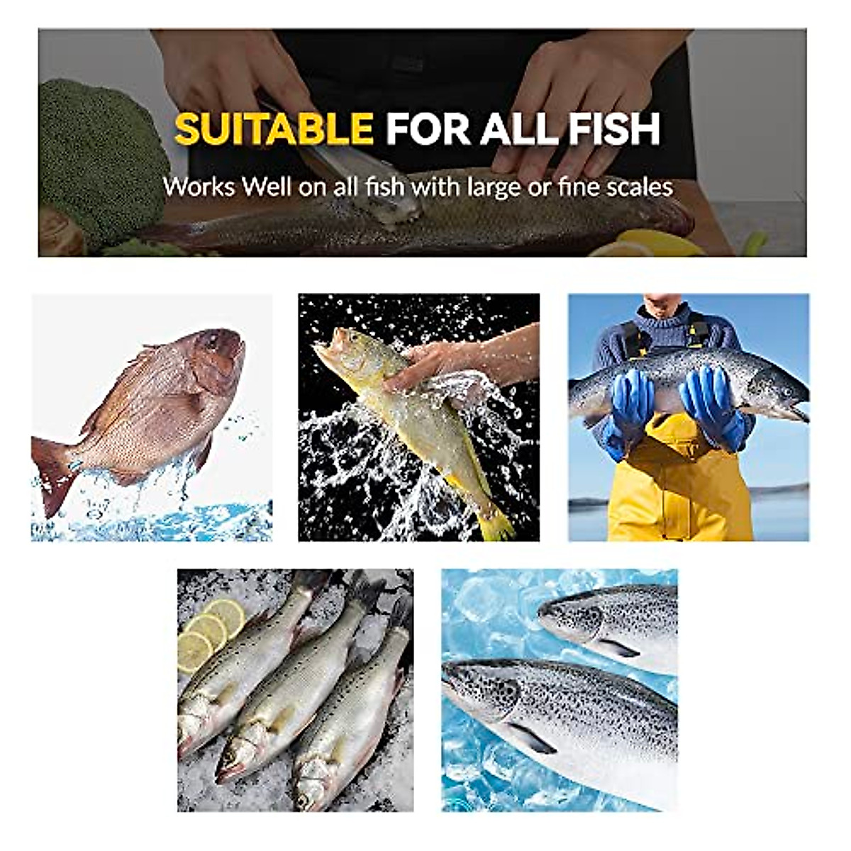ADORAMBLING Fish Scaler Stainless Steel Fish Scaler Remover with 58 Sawtooth Easily Remove Fish Scales Fish Descalers Fish Scraper for Chef and Home Cooks