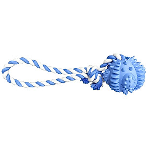 Rubber Dental Ball with Rope Dog Toy (Blue)