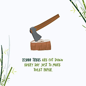 NooTrees Bamboo Toilet Tissue, Tree Free, 100% Biodegradable, Sustainable, Renewable and FSC Certified 3-ply Toilet Paper, 220 Sheets, 12 Rolls, Pack of 1