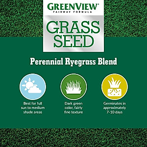GreenView Fairway Formula Grass Seed Perennial Ryegrass Blend - 20 lb. Bag