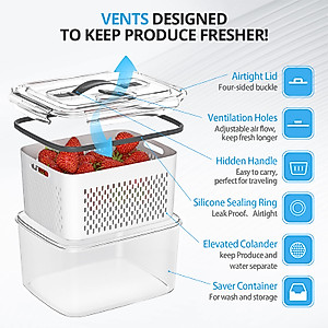 damynuo 10Pack Fruit Storage Containers for Fridge - Fridge Organizers and Storage with Vent and Handle Lids, Fruit Containers for Fridge with Colander, Refrigerator Organizers and Storage Keep Fresh
