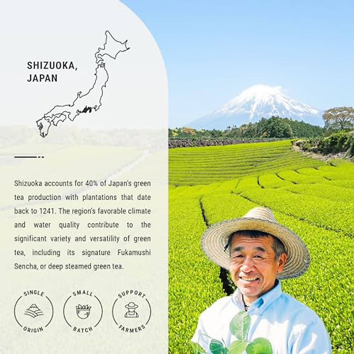 Senbird Organic Sencha - Japanese Green Tea - From Shizuoka, Japan - Loose Leaf Tea In Airtight Tea Tin (3.5oz/100g)