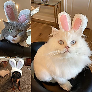 Cat Cute Costume Pet Plush Bunny Ears, Puppy Rabbit Headband Ear Hats, Snug Bunny Warm Hat with Ears for Cats Puppies and Small Dogs, Easter/Halloween/Party Cosplay (Pink, Bunny Ears)