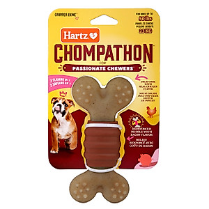 Hartz New Chompathon Gripper Bone Dog Chew Toy for Aggressive Chewers, Double Layered Flavored with Chicken & Bacon