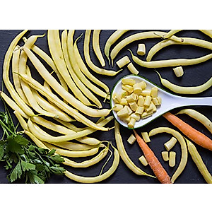 Cherokee Wax Bush Bean Seeds for Planting, 50+ Heirloom Seeds Per Packet, (Isla's Garden Seeds), Non GMO Seeds, Botanical Name: Phaseolus vulgaris, Great Home Garden Gift