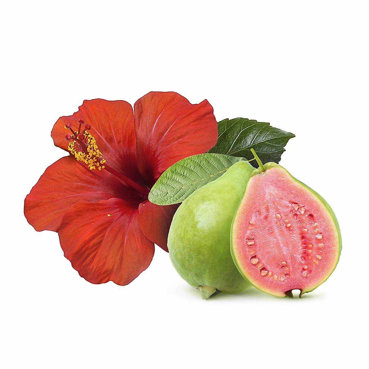 Sweet & Sassy 3 Conditioner Bars. Made in the USA. All Natural, Organic, SLS Free, Plastic Free, Safe for Color Treated Hair (Hawaiian Hibiscus)