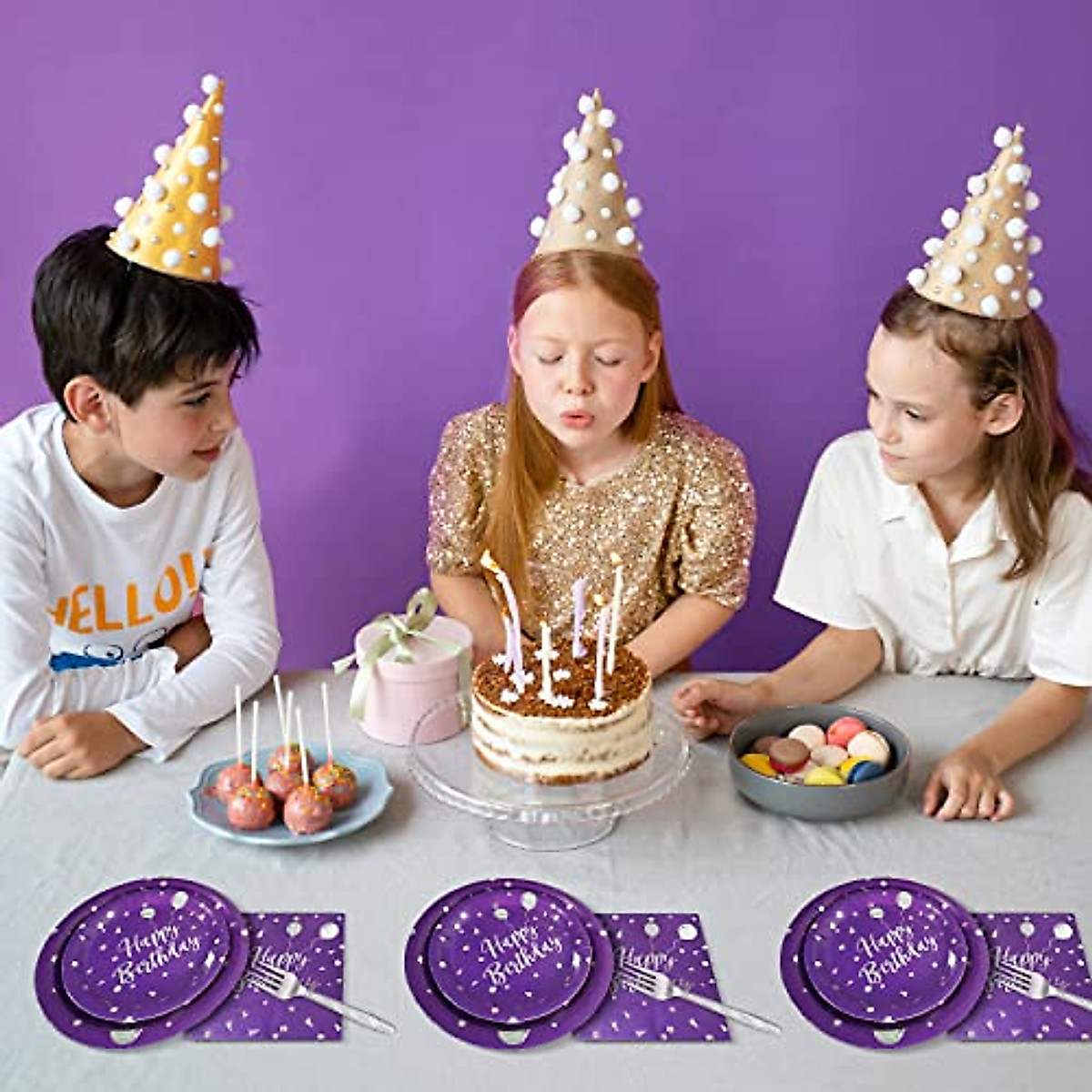 Purple Birthday Supplies,Silver Birthday Plates and Napkins,Serves 25 Guests Purple Paper Plates Napkins Sets for Girl Women Birthday Party Decoration(100 PCS)