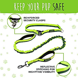 Mighty Paw Hands Free Bungee Leash 2.0 | 4’ Dog Lead W/Dual Padded Traffic Handles for Running, Hiking & Jogging. Wearable Belt (27-48” Waistband) W/ 2 Attachment Loops. Pets Up to 150lb (Green)