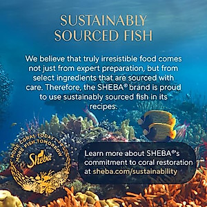 SHEBA Perfect Portions Cuts in Gravy Wet Cat Food Trays (24 Count, 48 Servings), Gourmet Salmon, Sustainable Tuna, And Delicate Whitefish & Tuna Entrée, Easy Peel Twin-Pack Trays